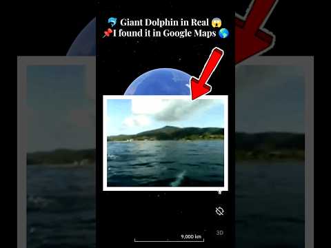 π€―I found Giant Dolphin Sculpture on Google Maps π #Shorts #YouTubeShorts#shortsvideo #viral#trending