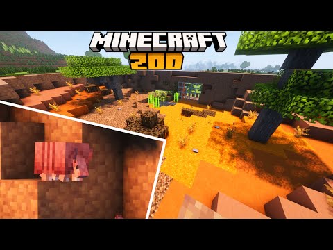 Building the Perfect Armadillo Enclosure in Minecraft Zoo
