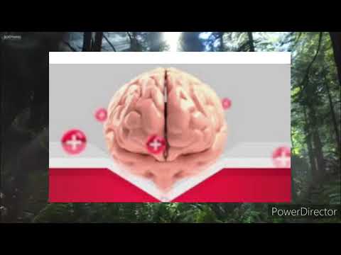 BRAIN RULES | DR.JOHN MEDINA| SUMMARY