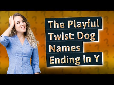 Why do dog names end in Y?