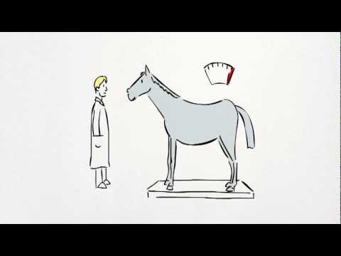 The National Equine Health Survey