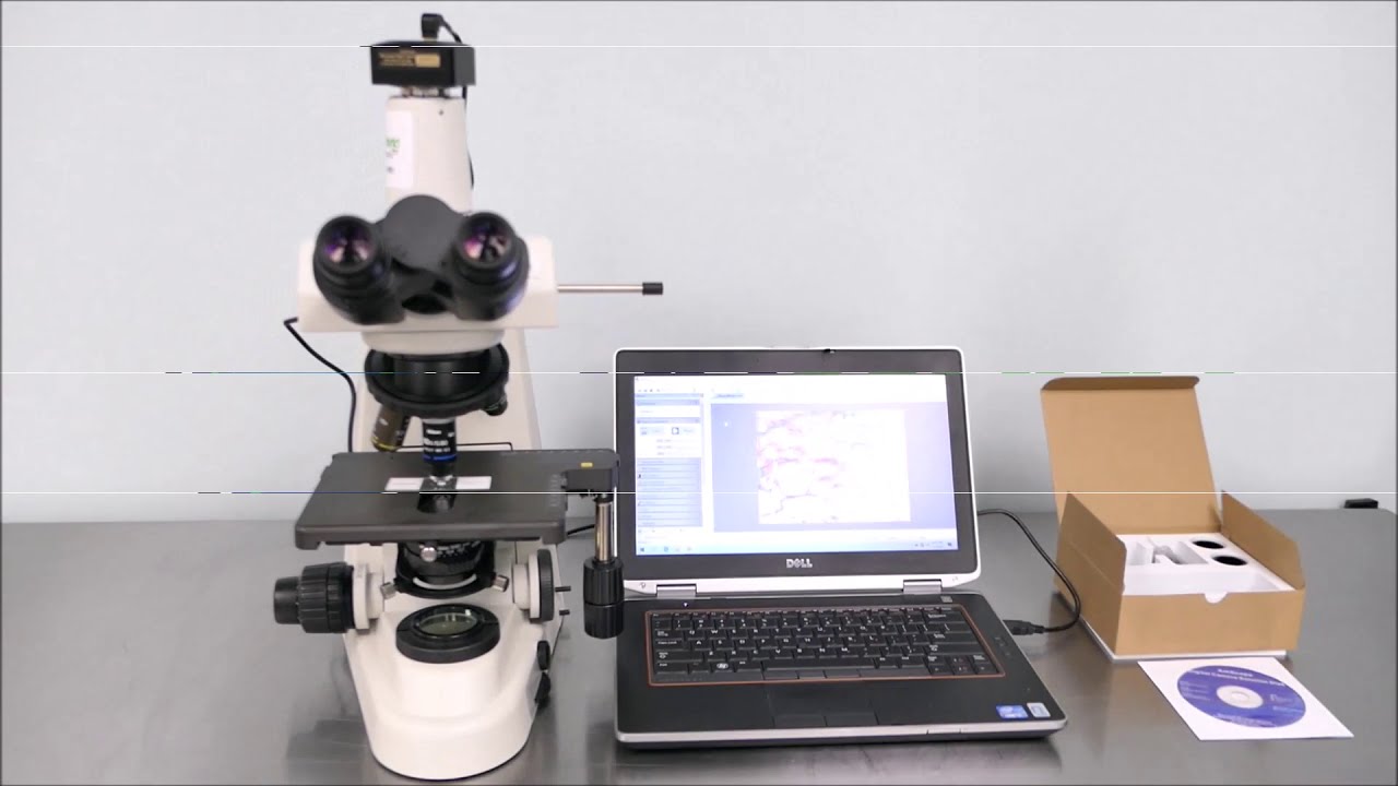 Nikon Eclipse 50i Microscope for sale