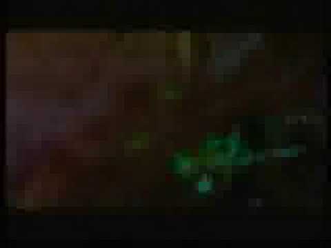 Alchemist - First contact