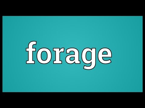 Forage Meaning