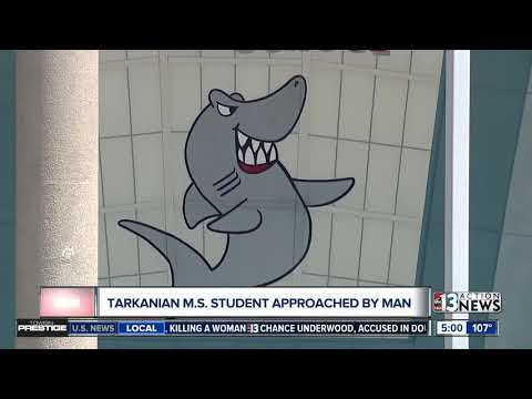 Tarkanian MS student approached by man