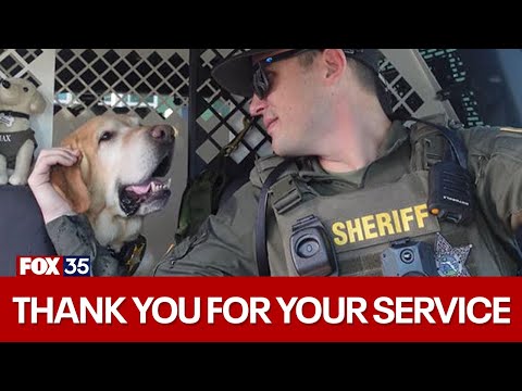 Florida K-9 Jax gets final radio sign-off as he retires after 8 years of service