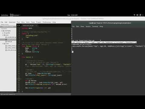 Go Golang JSON encode and decode struct, map, slice, array