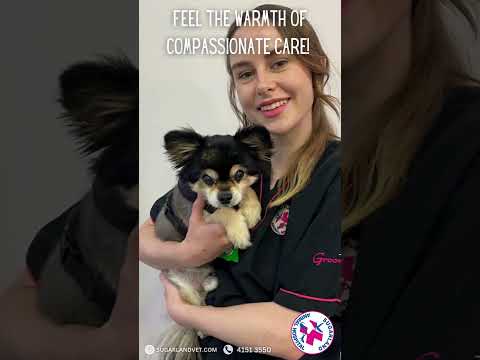 Get a passionate care for your furry family with Sugarland Animal Hospital.