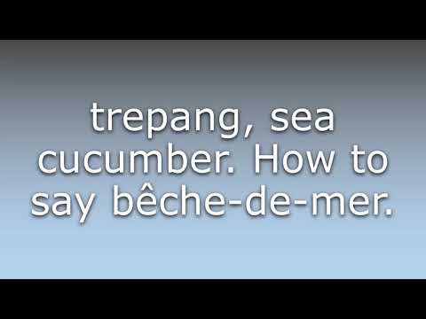 What does Bêche-de-mer mean?
