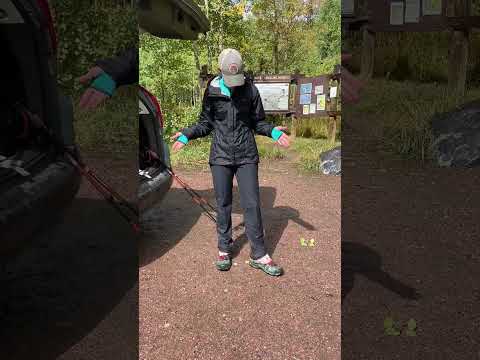 Slay the Rain in Style: Best Patagonia Rain Jacket - Torrentshell 3L for Men and Women