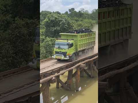 Supir Dump Truck Hino bernyali besar cookk !