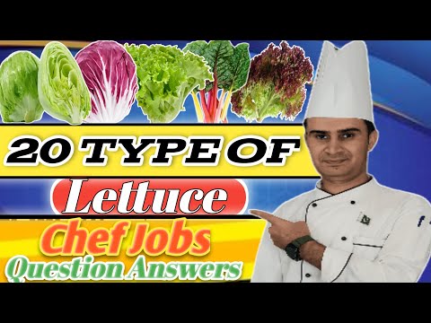 20 Type Of Lettuce // Name Of Lettuce Iceberg // Romaine Lettuce // Lolo roso // Beligion Lettuce