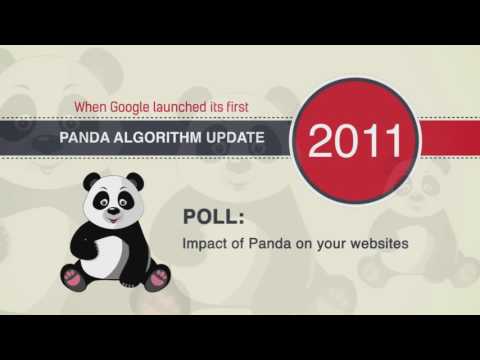 Leatherneck Tech Website Audit