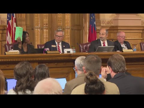 Georgia State Election Board passes hand-counting rule | Full debate