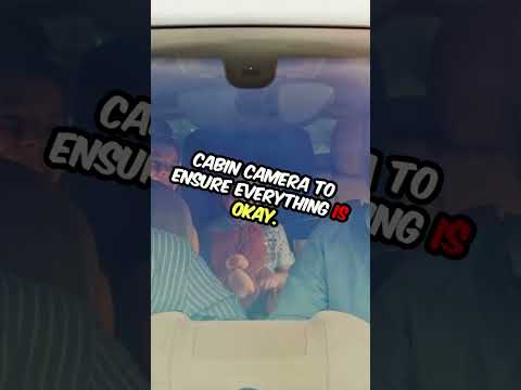 Tesla’s Life-Saving Child Safety Feature: How to Use It on Your Tesla!