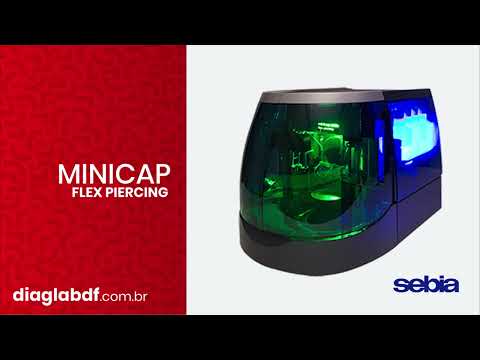 Capillary Electrophoresis System at Best Price in India