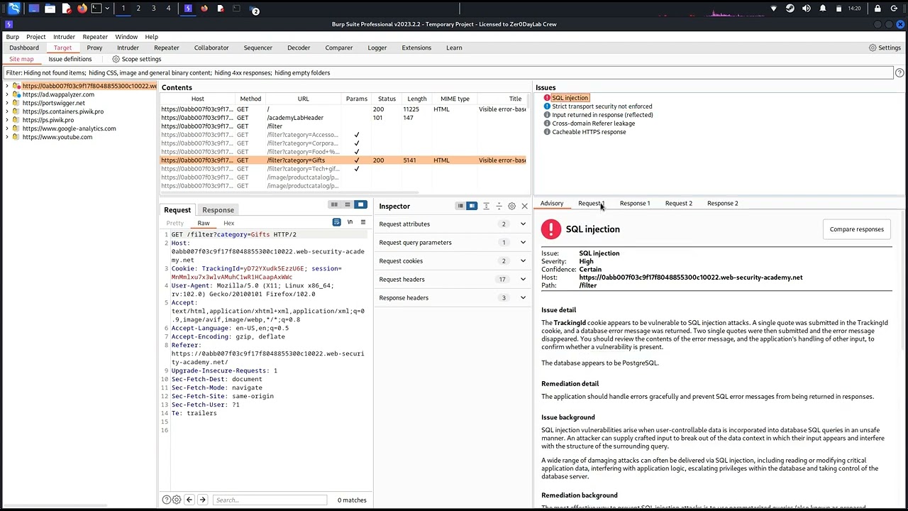 Visible error-based SQL injection
