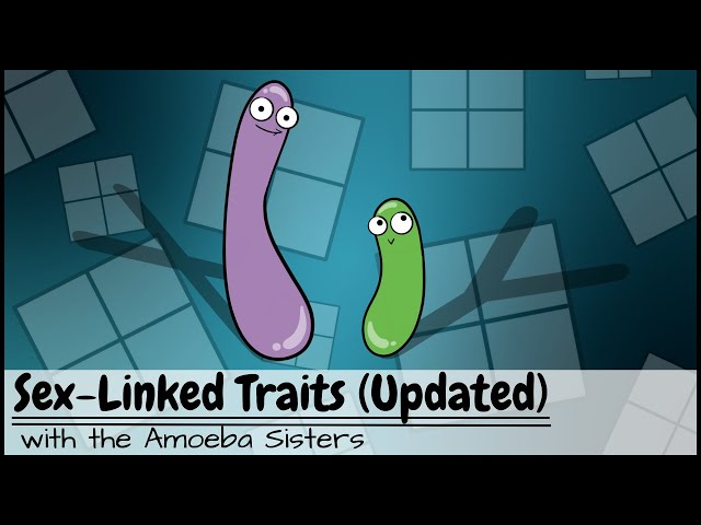 Understanding Punnett Squares and Sex-Linked Traits: A Comprehensive ...