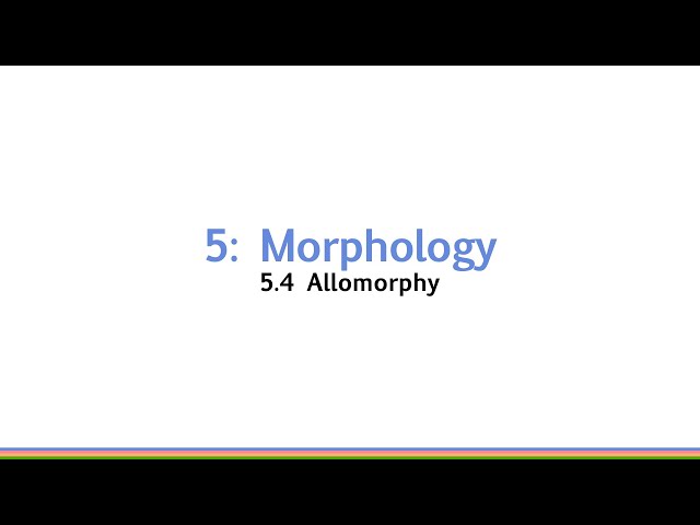 Understanding Allomorphy: The Variability of Morphemes in English ...