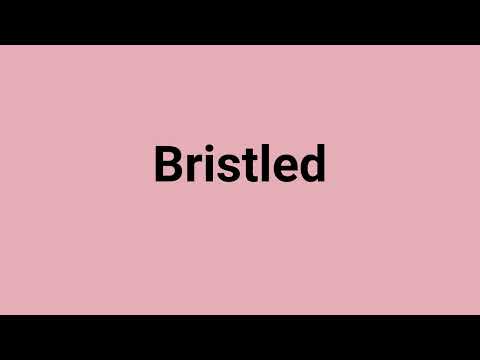'Bristled' Meaning and Pronunciation