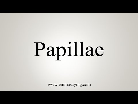 How To Say Papillae