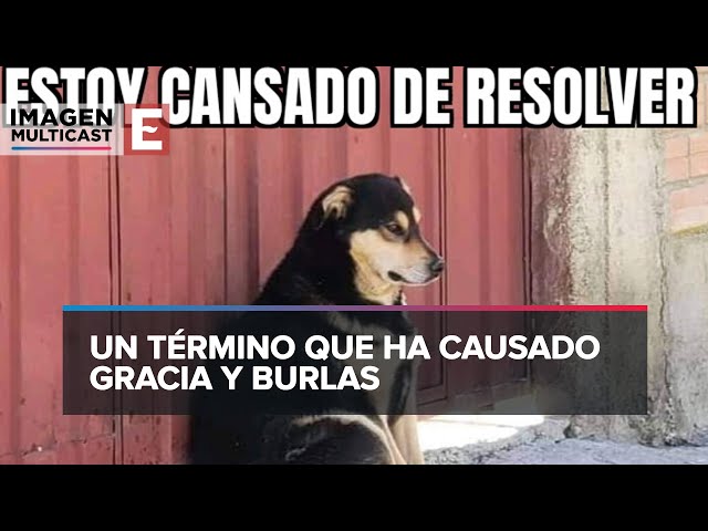 Revelan video de El Temach actuando en 'Caso Cerrado' y le llueven burlas