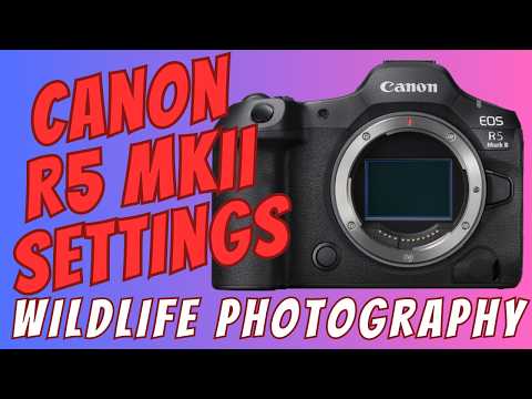 Canon R5 II: Autofocus setup & button layout (wildlife photography)