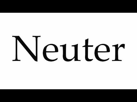 How to Pronounce Neuter