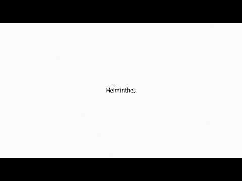 Helminthes PRONUNCIATION