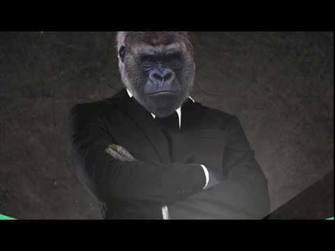 Idiom: Monkey business (picture, meaning, example, pronunciation)