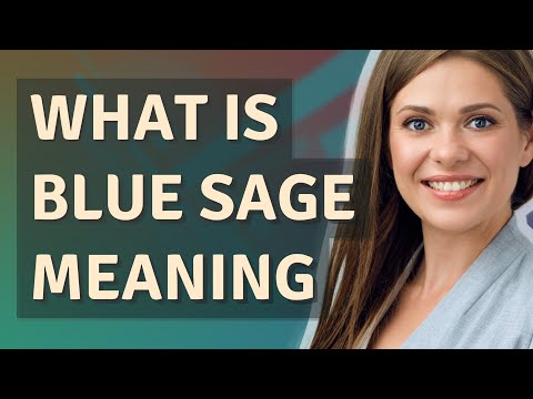 Blue sage | meaning of Blue sage