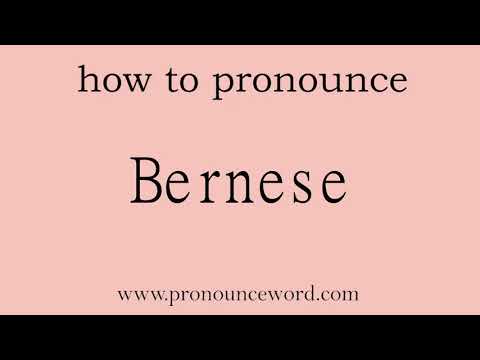 how to pronounce the english word Bernese.