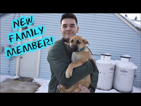 Limitless Ep. 03 || Why "Limitless" & New Family Member!?