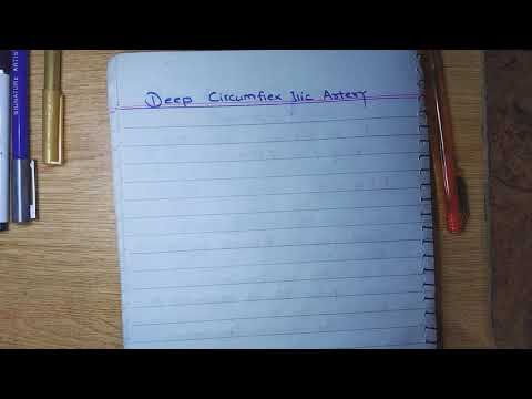 deep circumflex ilic artery | deep arteries of abdomenal wall | MSL