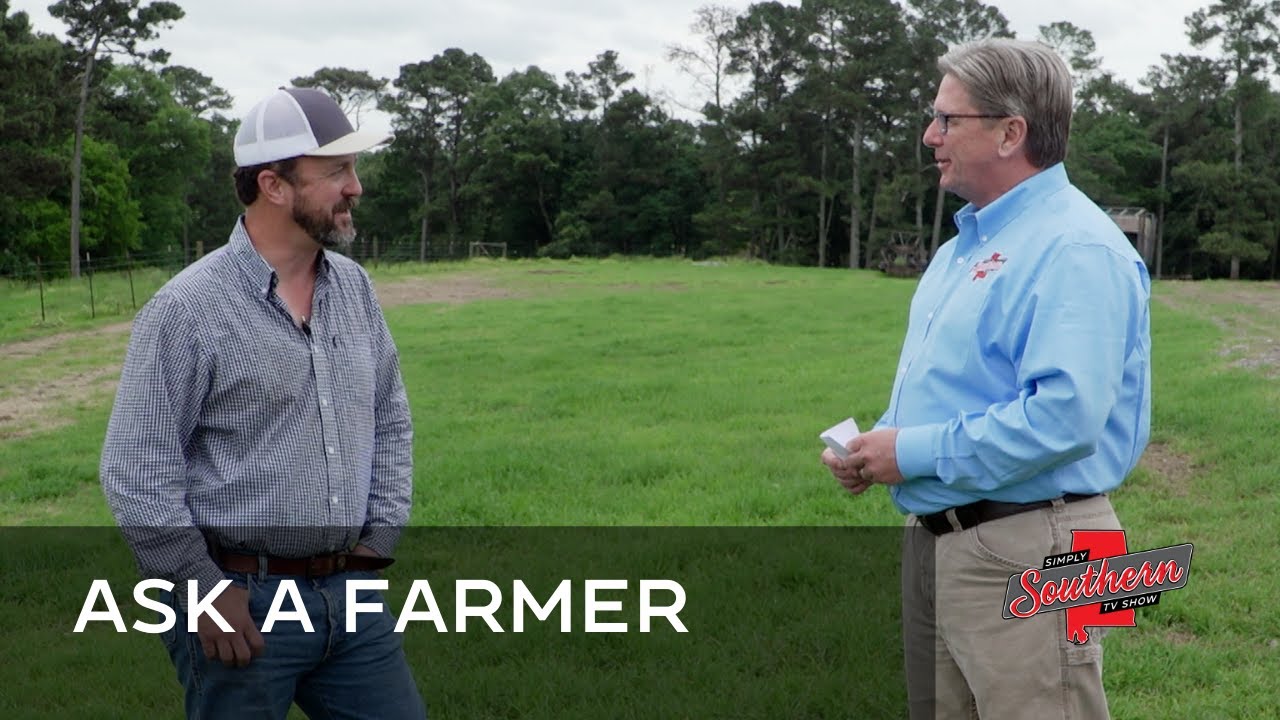 Show 714C Ask A Farmer - Beef Cattle