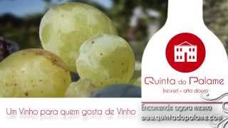 Galeria - Quinta do PalameQuinta do Palame