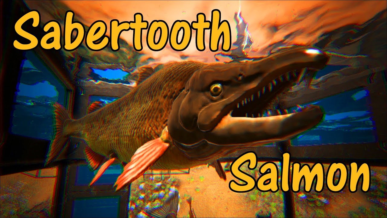 Sabertooth Salmon Educational Special [75]