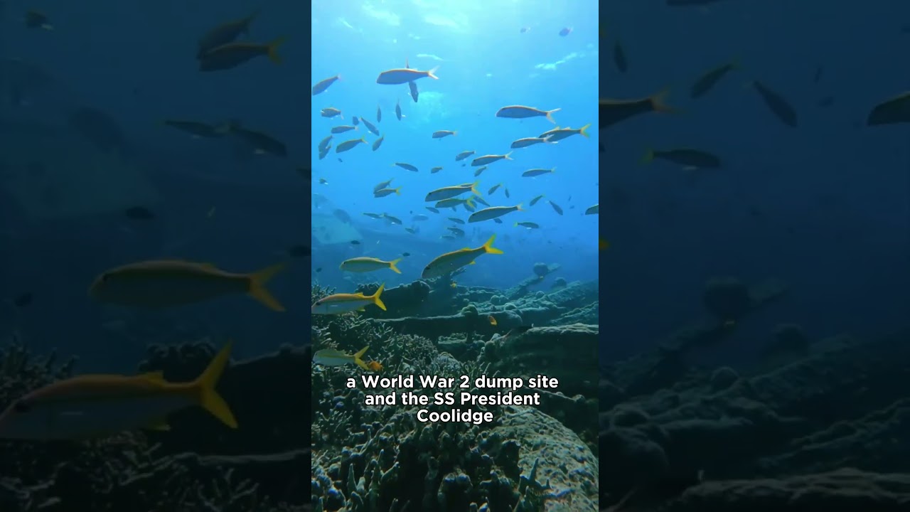 Ever heard of Espiritu Santo? #espiritusanto #vanuatu #bucketlisttravel