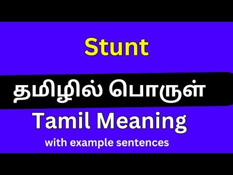 Stunt meaning in Tamil/Stunt தமிழில் பொருள்