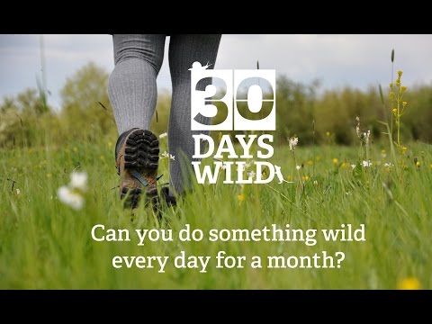 30 Days Wild – Introduction | thenaturetable