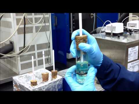 Pour Point Apparatus - Cloud And Pour Point Apparatus Latest Price ...