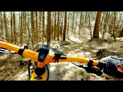 MTB Klavdija in Fonza szi Wajdušne 4K