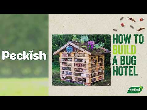 How to build a bug hotel