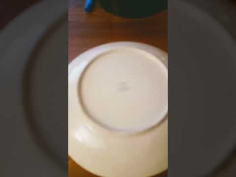 hand painted nippon plate! 1920s 1930s 1940s?
