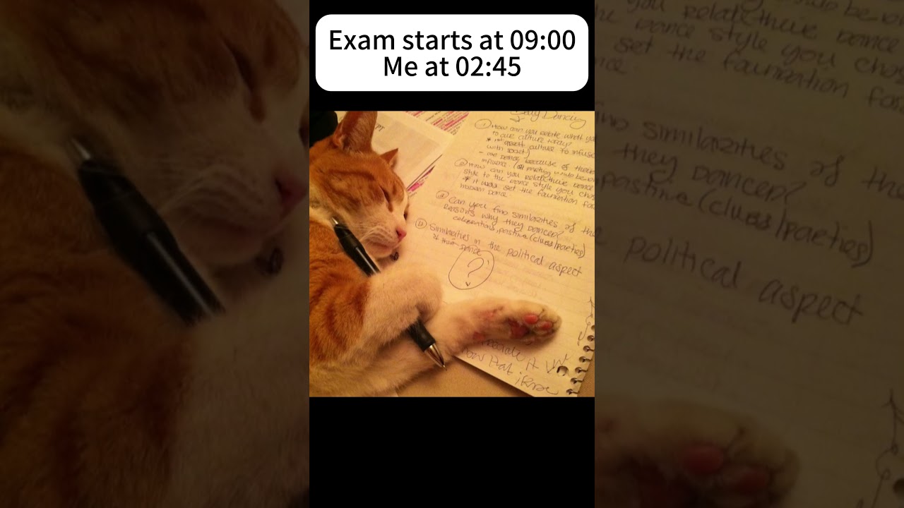 Thought I Was Revising… Turns Out I’m Learning For First Time💀 #finals  #relatable #exam #trending
