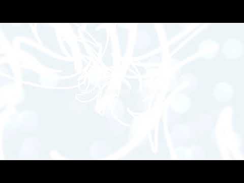 white video background hd | plain white background video effects hd | pure white background video