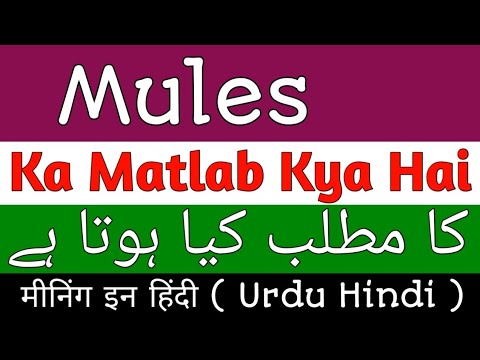 Mules Meaning | Mules Meaning In Urdu Hindi | Mules Ka Matlab Kya Hai | Mules Ka Meaning Kya Hai