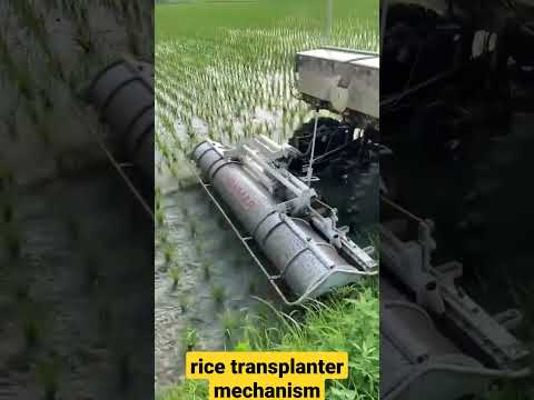 rice transplanter mechanism | mini tractor |