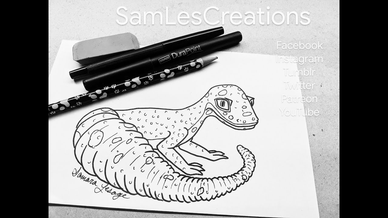 Drawing a Leopard Gecko Coloring Page