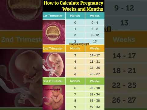How to Calculate Pregnancy by weeks ,Months and Trimester ๐ฏ#shorts #pregnancy #cutebaby